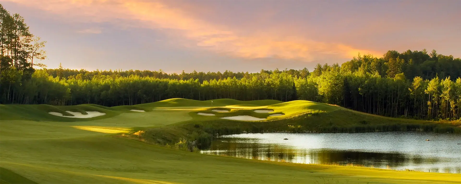 Home [www.mngolf.org]